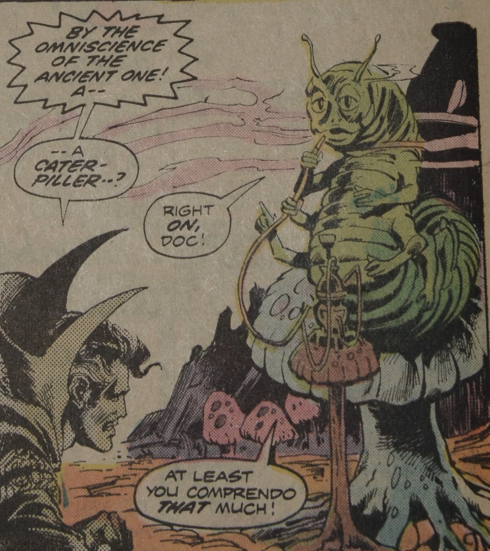 larva ~ evolve ~ cocoon – The English Alphabet Code